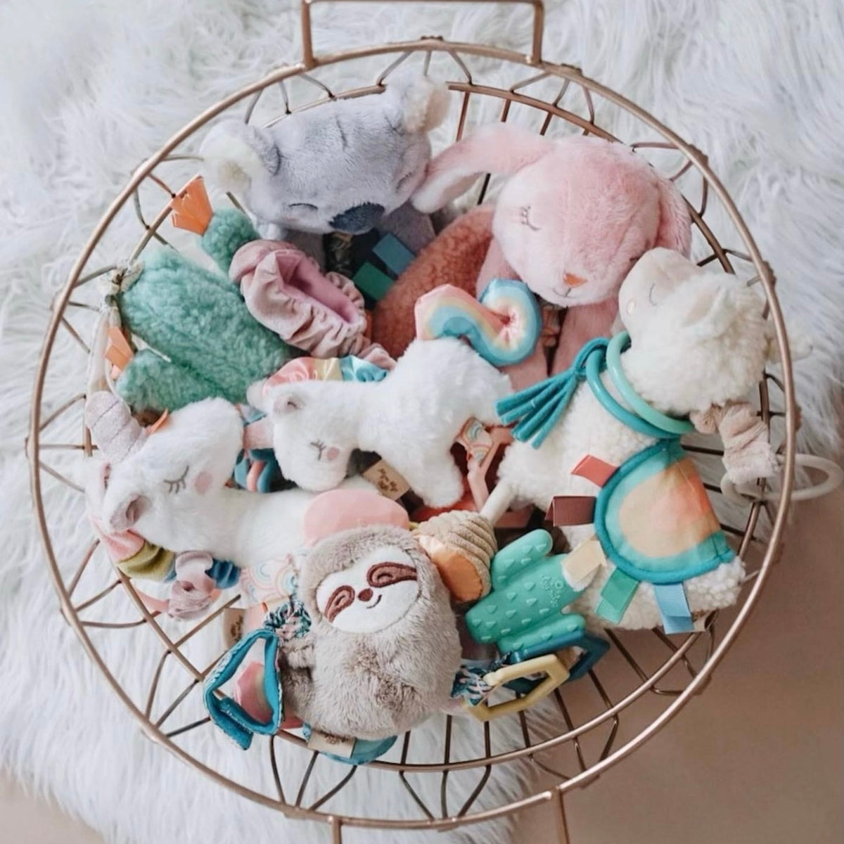 Itzy Ritzy – Little Belles & Beaus